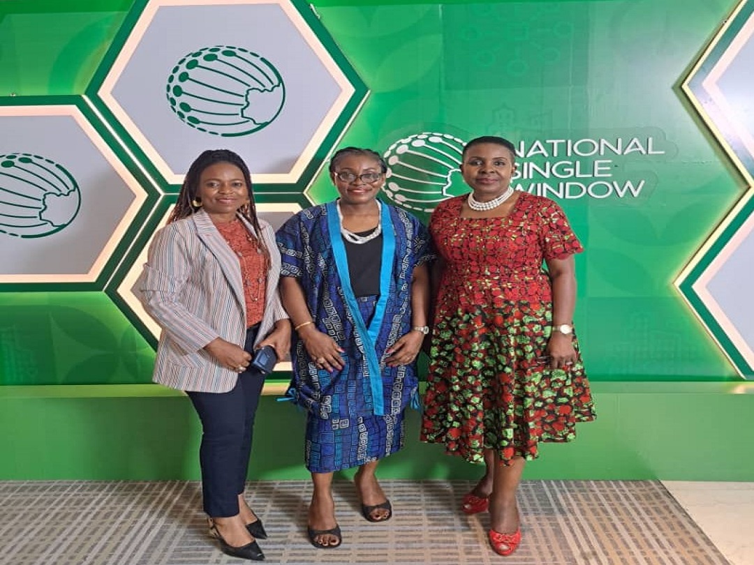 Nigerian Chamber of Shipping Participates in the National Single Window ...